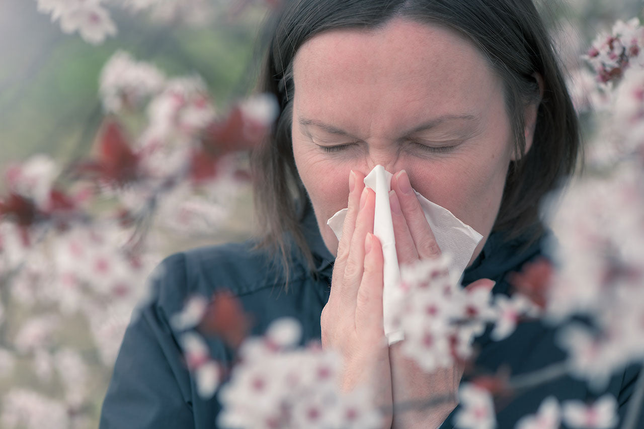 Warm weather wreaks havoc with hay fever sufferers as tree pollen spik